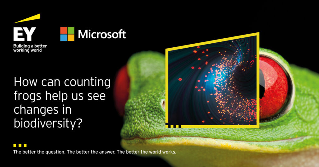 Participa en el EY 2022 Better Working World Data Challenge | Aula de Educación Ambiental de la UCLM