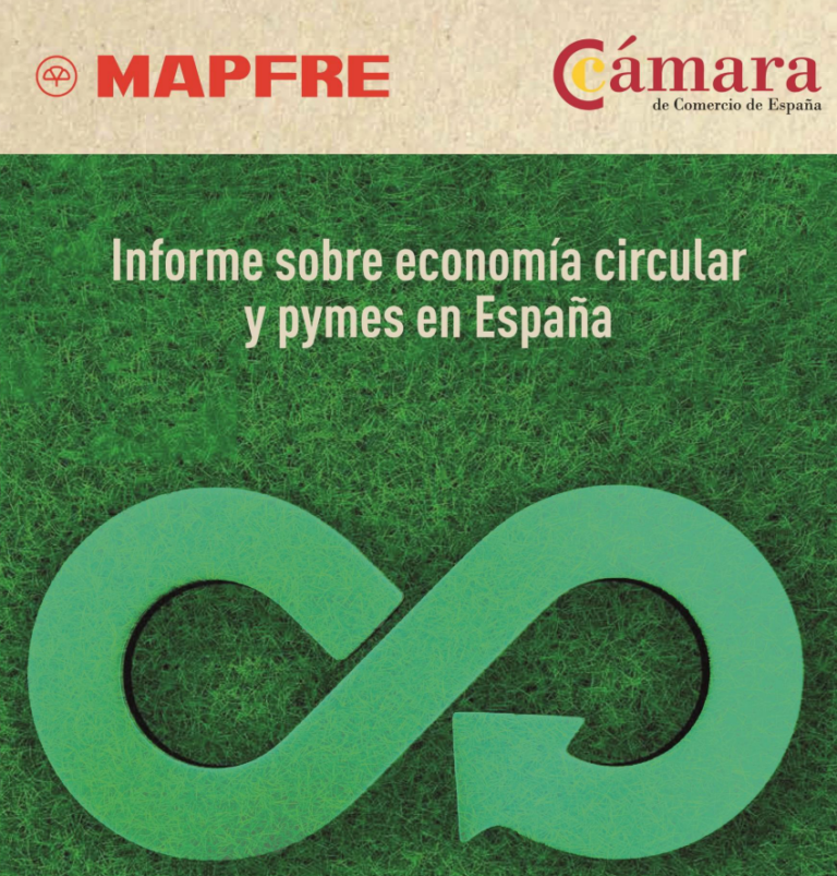 Informe sobre Economía Circular y Pymes en España (2021) | Cátedra ...