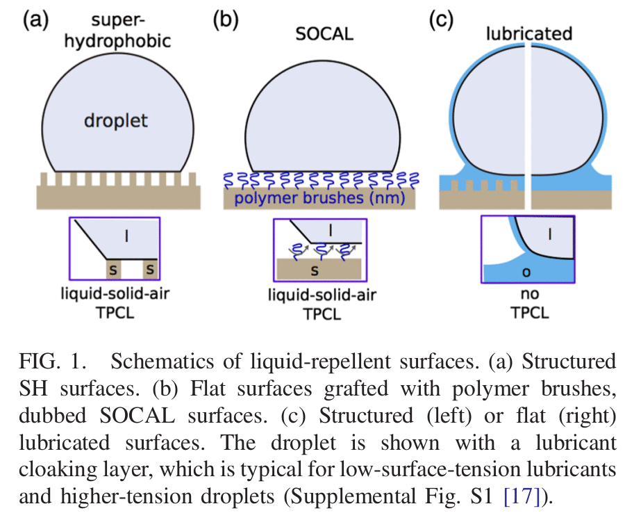 Mayor comprensión de los diversos mecanismos de formación de ...