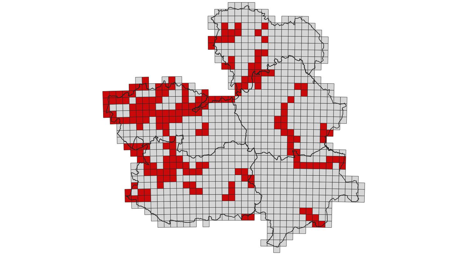 Lepomis gibbosus | Proyecto de Investigación – ExotiNET
