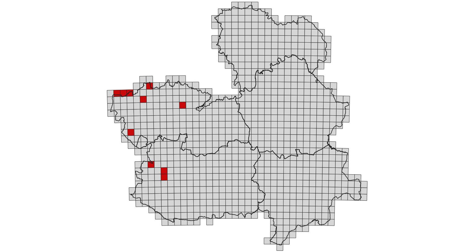 Azolla filiculoides | Proyecto de Investigación – ExotiNET